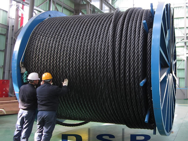 Products & Divisions