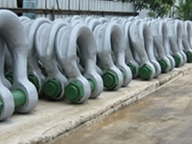 Products & Divisions